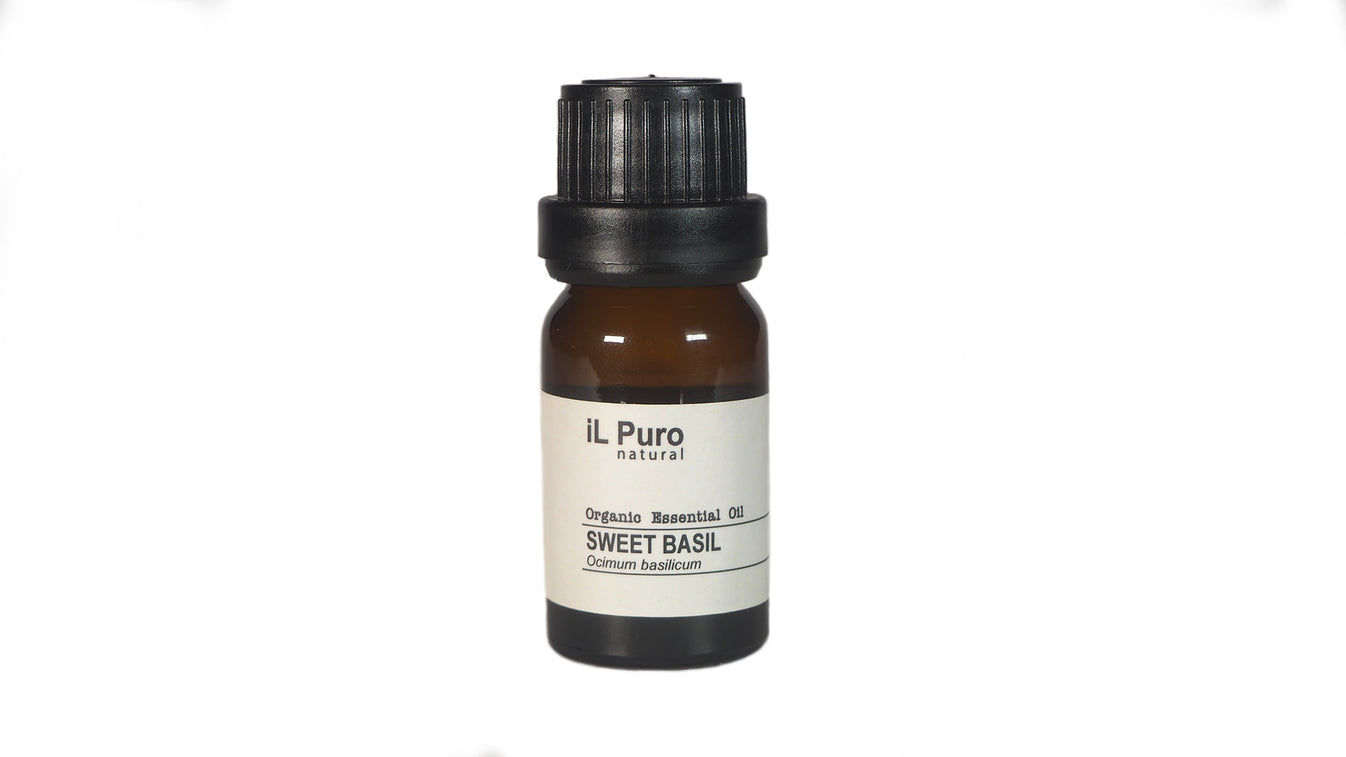 Sweet Basil Essential Oil – iL Puro Natural